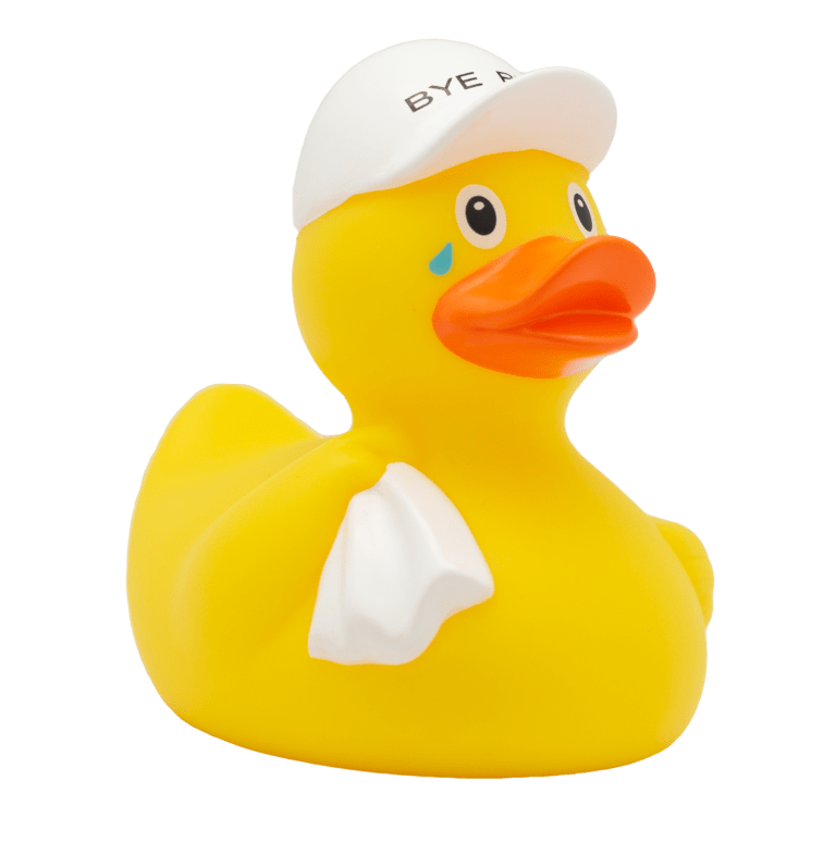 Bye Bye Duck – Ducktales