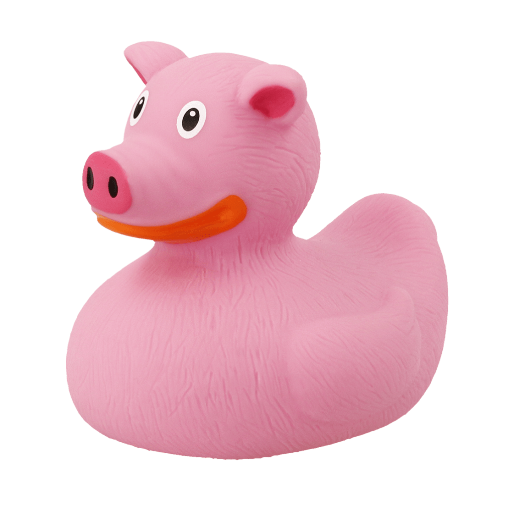 Pig Duck – Ducktales